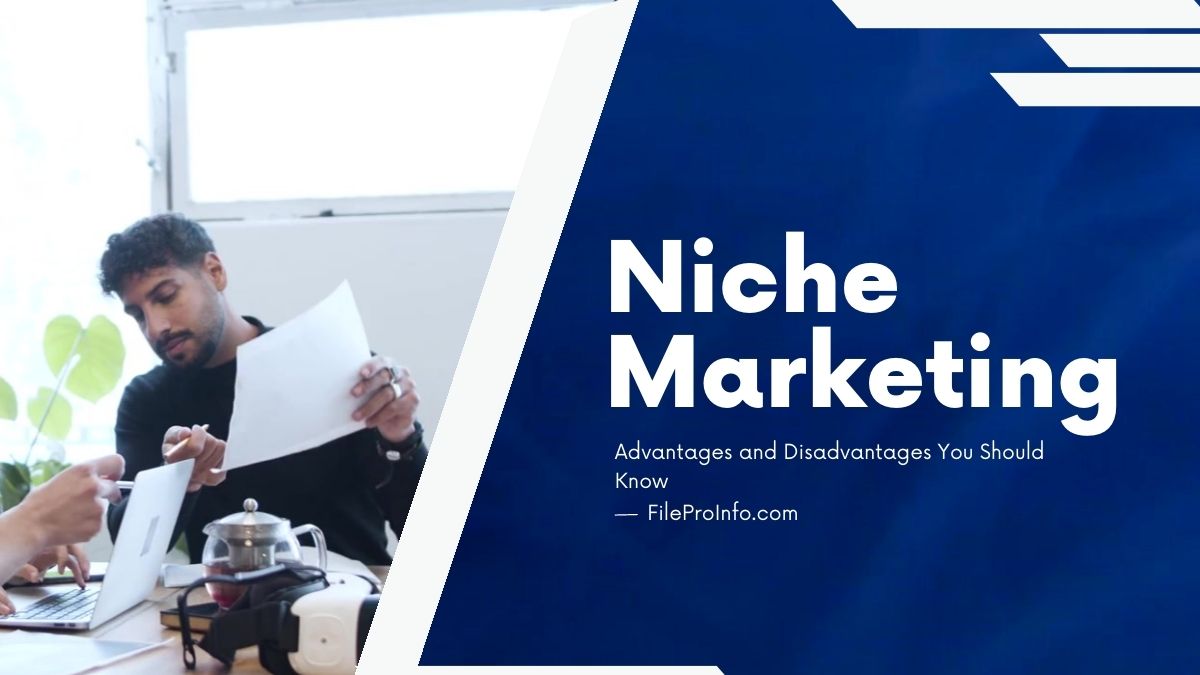 Niche Marketing Advantages And Disadvantages You Should Know